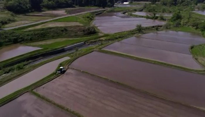 Program Catalog - NHK Foundation