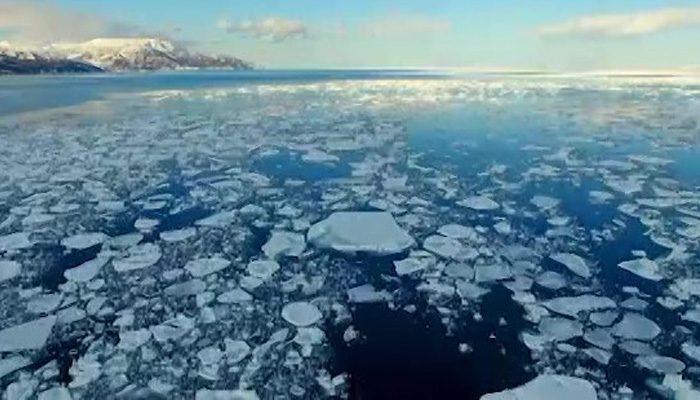 Program Catalog - NHK Foundation