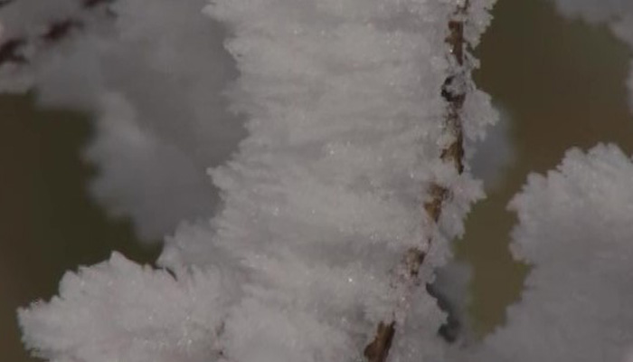 Program Catalog - NHK Foundation