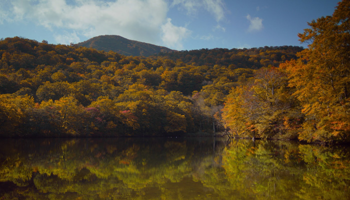 Program Catalog - NHK Foundation