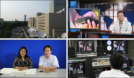TV Support - NHK Foundation